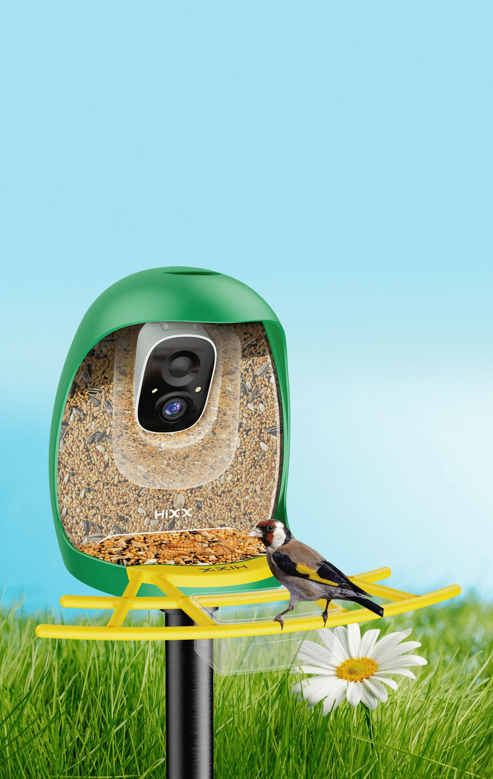 CoolFly Hub: Bird Lovers' Paradise