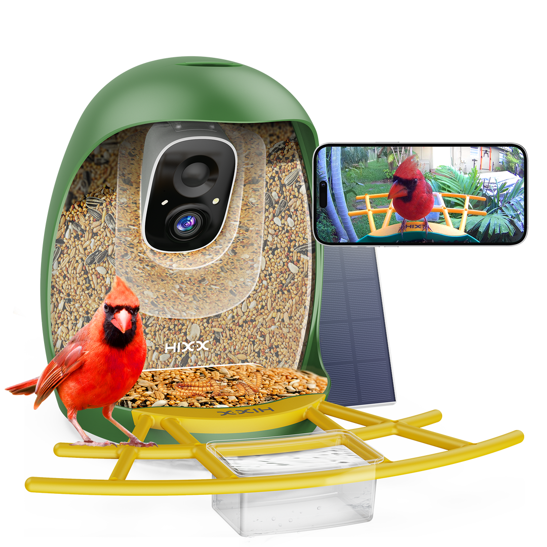 CoolFly Birdwatching Community | Smart App for Bird Lovers