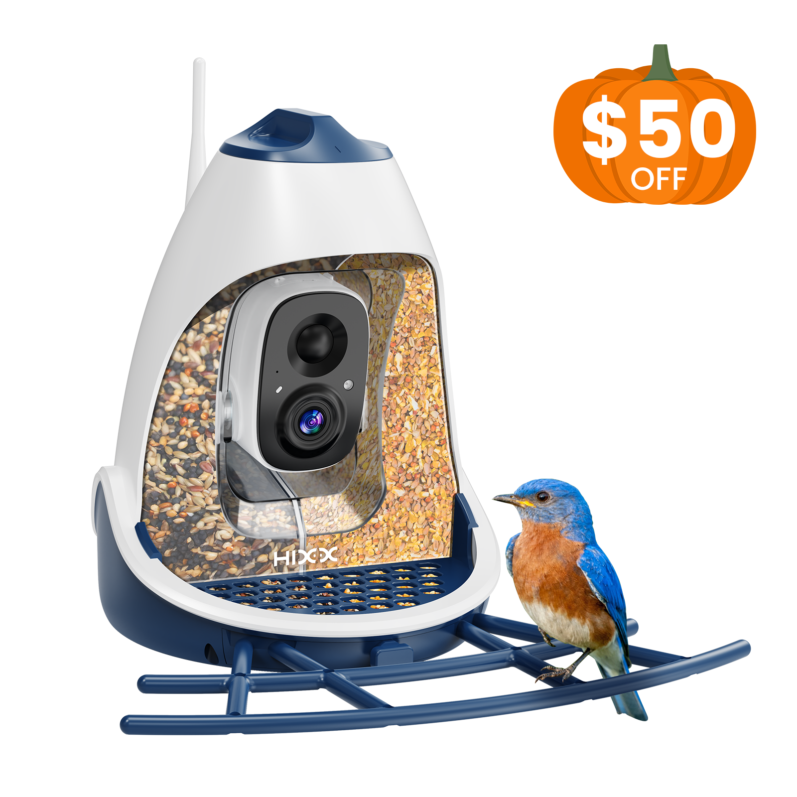 CoolFly Birdwatching Community | Smart App for Bird Lovers
