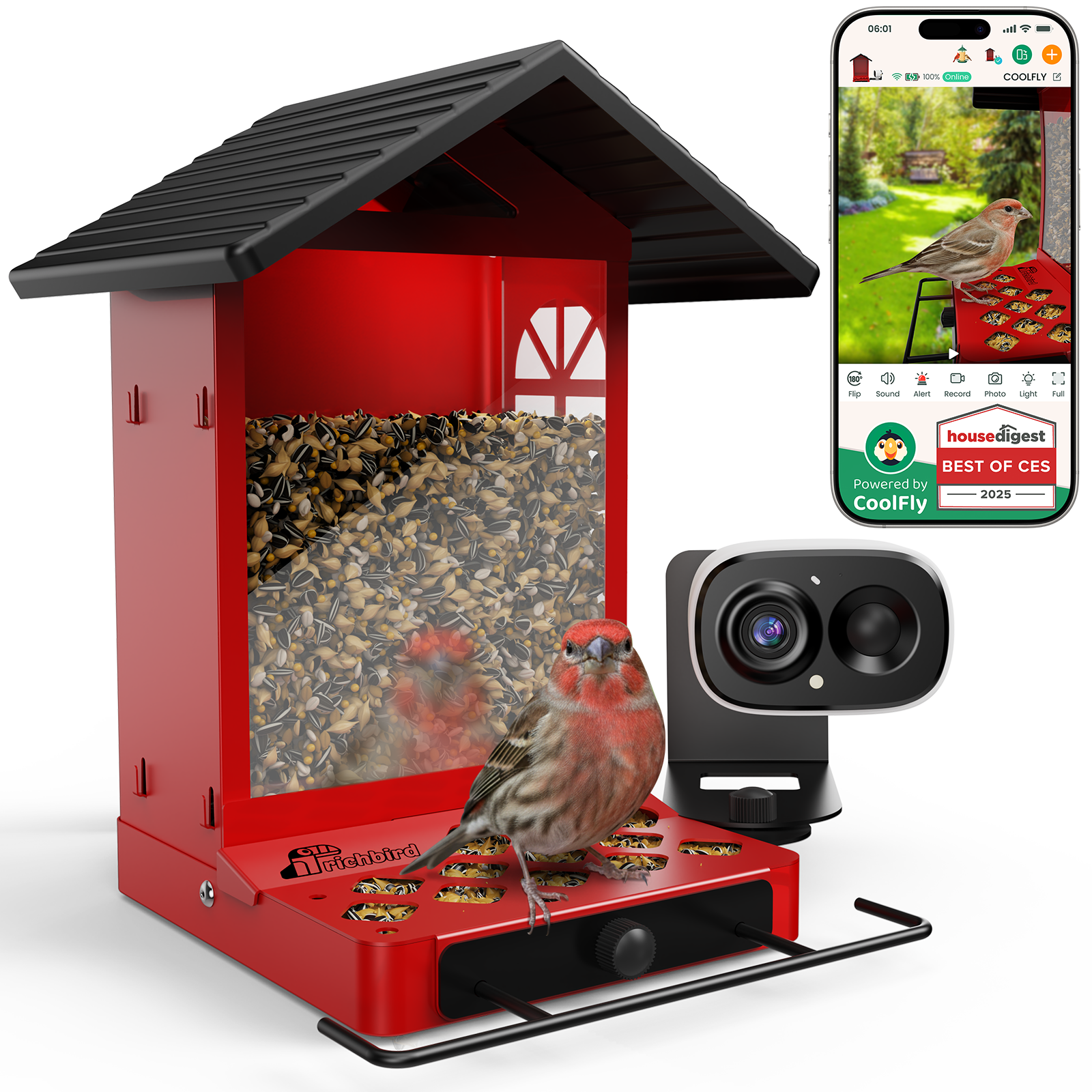 CoolFly Birdwatching Community | Smart App for Bird Lovers