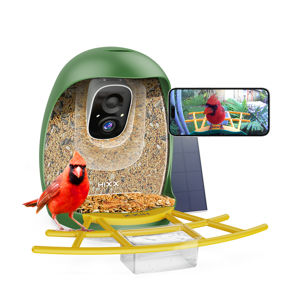 CoolFly Hub: Bird Lovers' Paradise