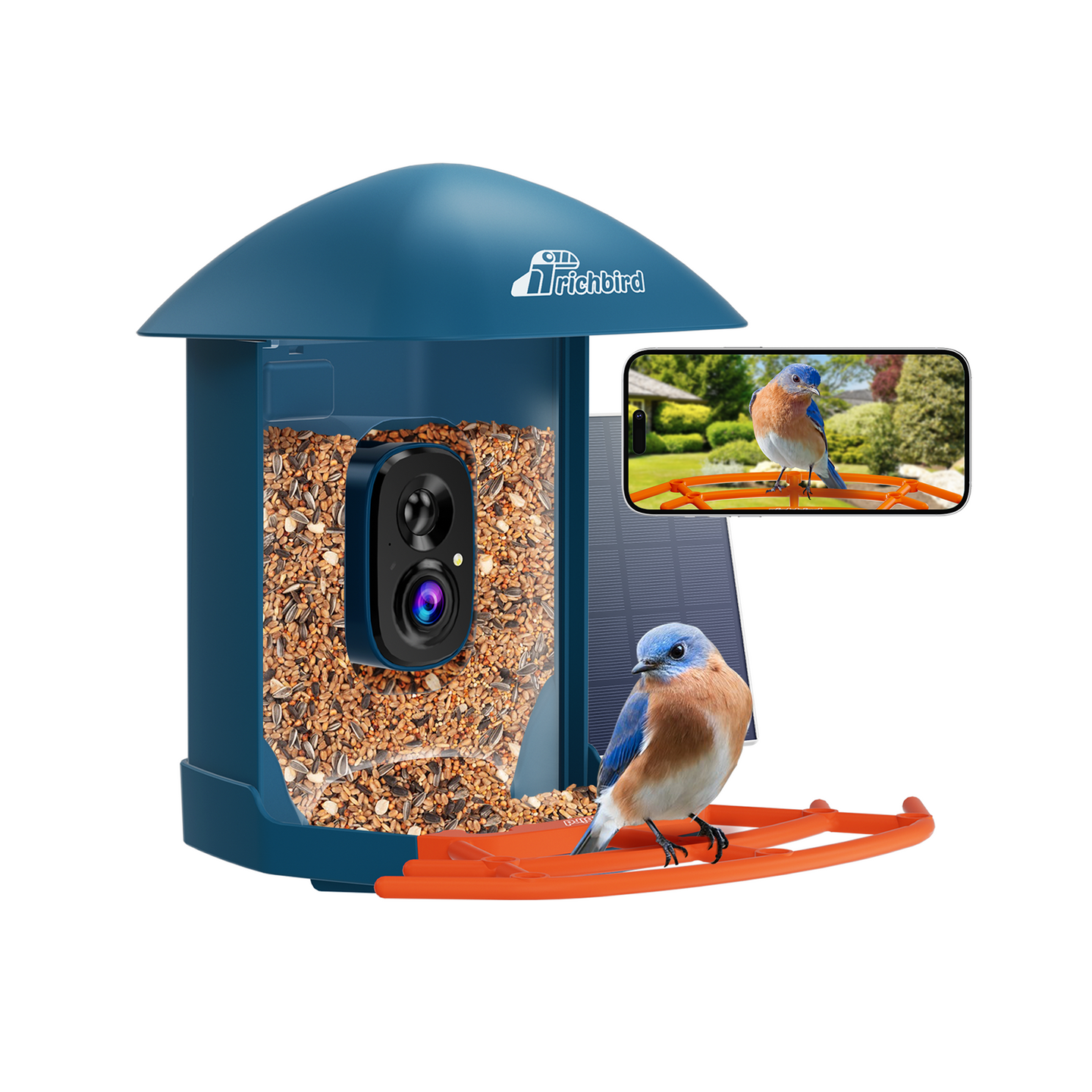 CoolFly Hub: Bird Lovers' Paradise