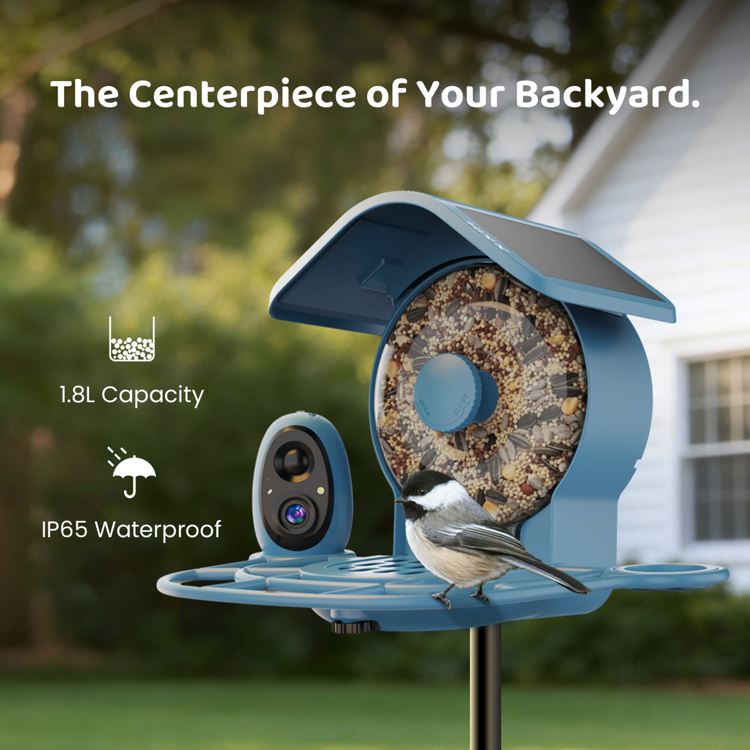 Aura Smart Bird Feeder | Built-in AI – COOLFLY