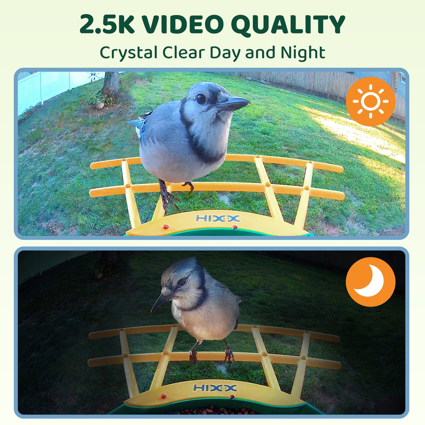 CoolFly Hub: Bird Lovers' Paradise
