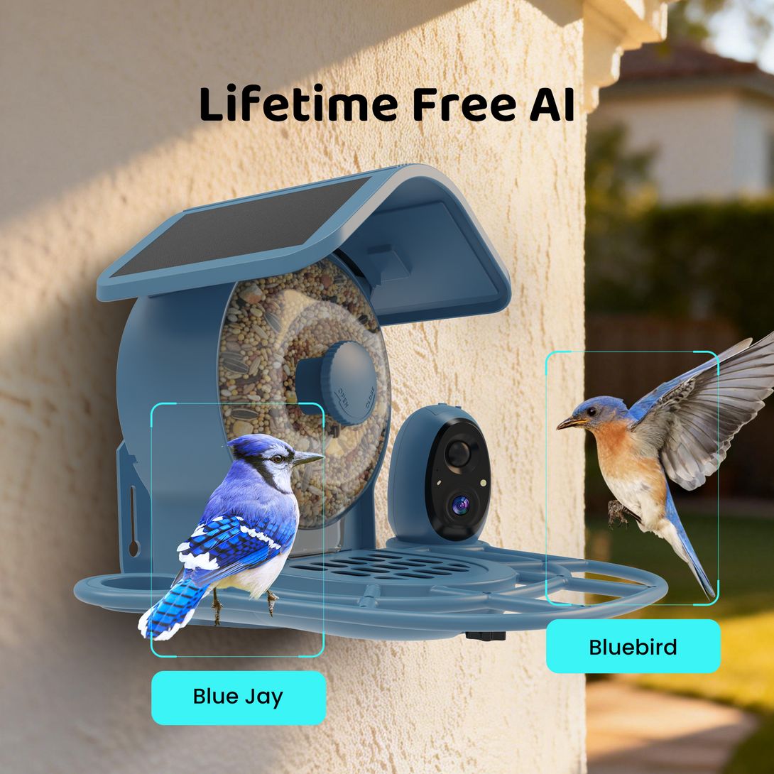 Aura Smart Bird Feeder | Built-in AI – COOLFLY