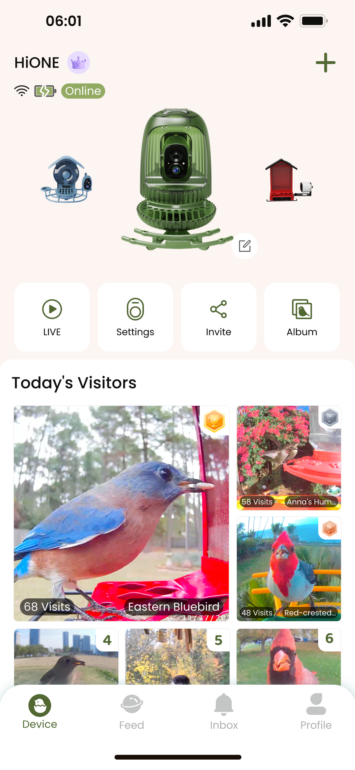 CoolFly Birdwatching Community | Smart App for Bird Lovers – COOLFLY