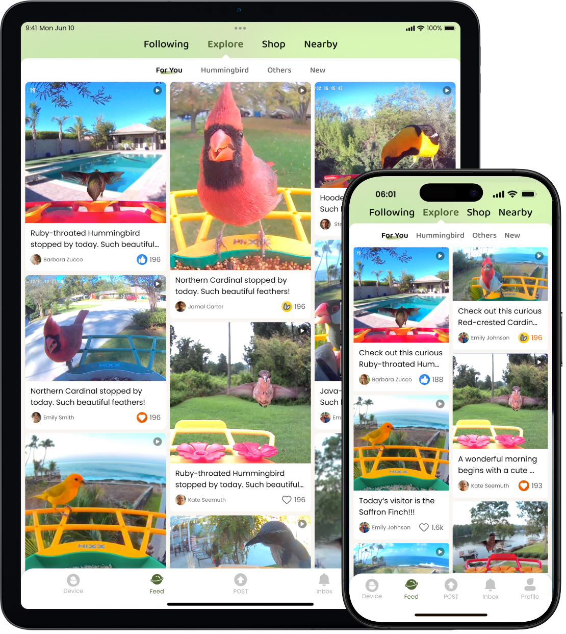 CoolFly Birdwatching Community | Smart App for Bird Lovers – COOLFLY